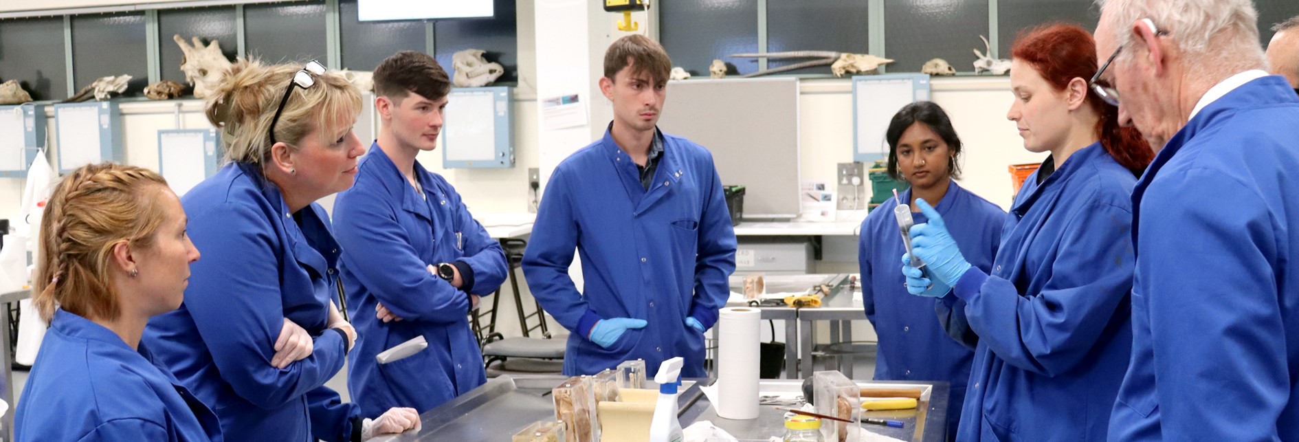 Specimen Pot Renovation and Repair Workshop | School of Anatomy ...