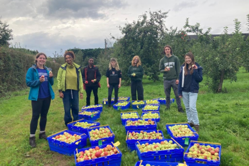 2025: Celebrate Apple Day at the University of Bristol Botanic Garden ...