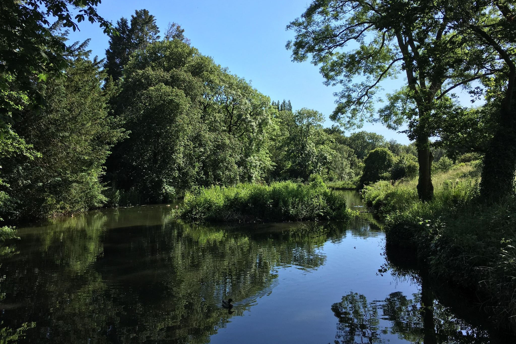 2023: Mysterious underwater acoustic world of British ponds revealed in ...