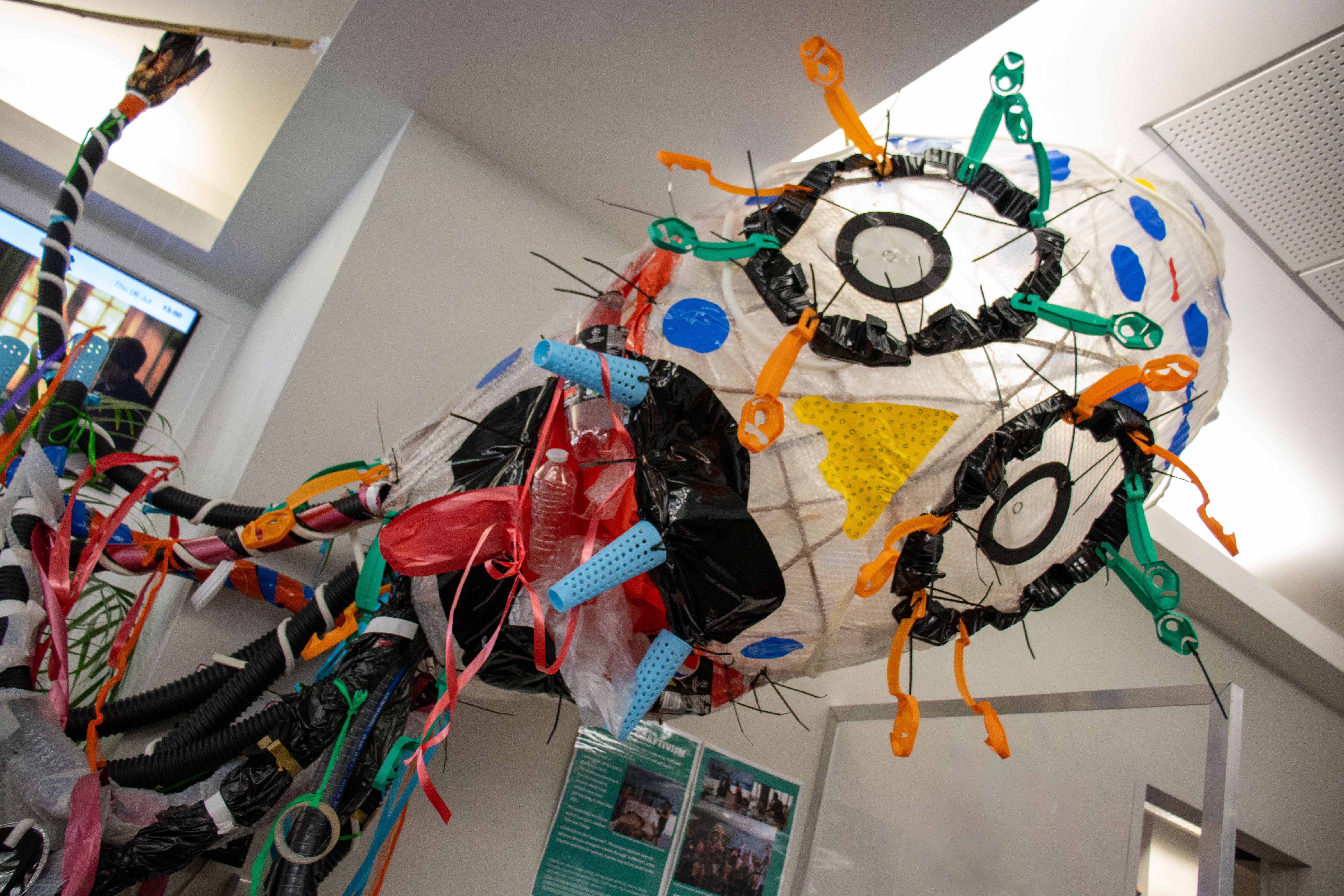 2023: seacreature | School of Education | University of Bristol