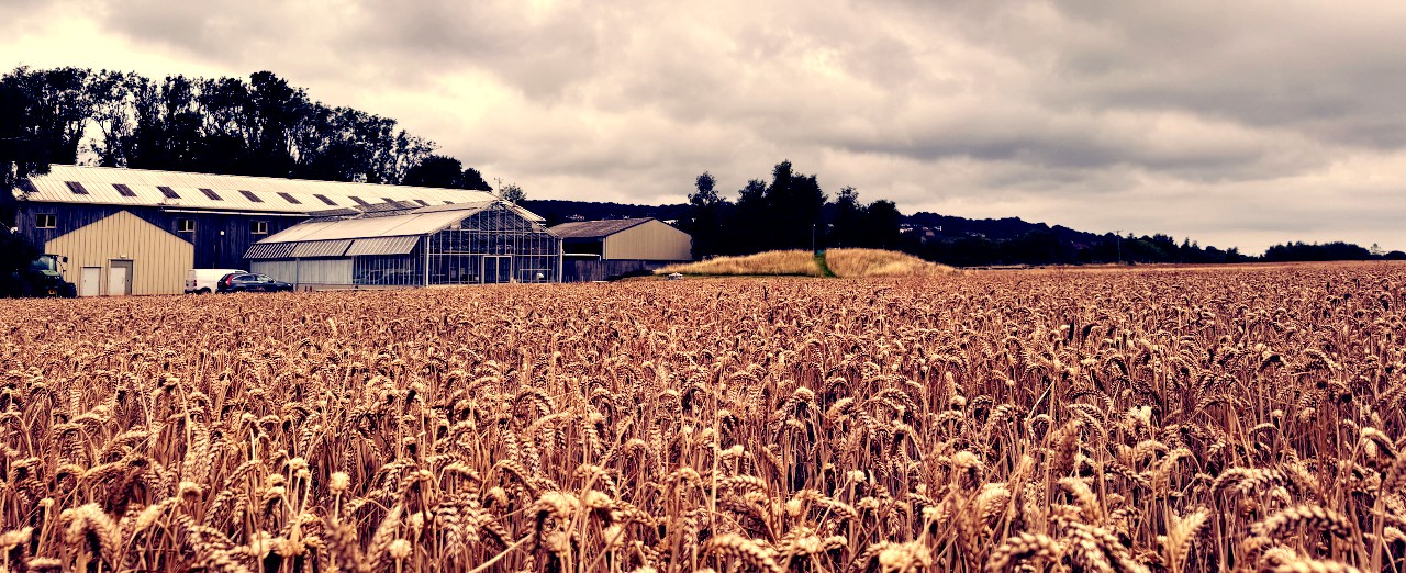 Fenswood Farm | Gardens and green spaces | University of Bristol