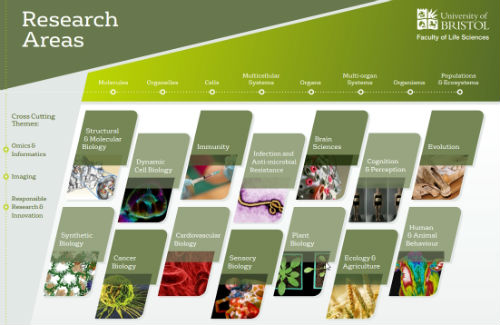 Research | Faculty of Life Sciences | University of Bristol