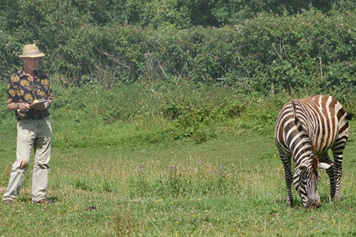 February: Zebra stripes | News and features | University of Bristol February: Zebra stripes | News and features | University of Bristol