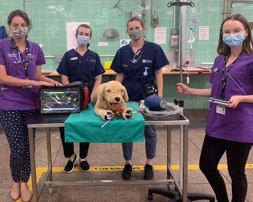 September Vetpatient simulator News And Features University Of Bristol