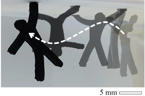 October: soft-robotics-breakthrough | News and features | University of ...
