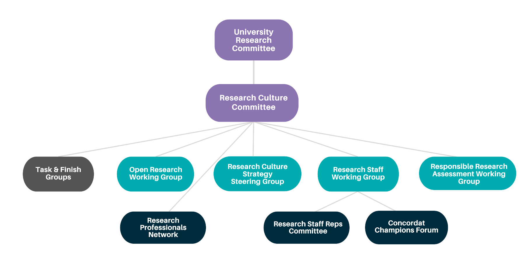 Research Culture Committee | Research | University of Bristol