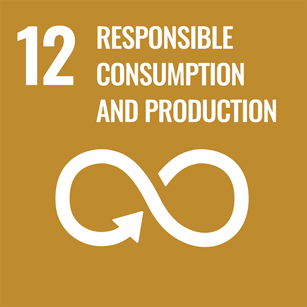 Goal 12: Responsible consumption and production | About the University ...