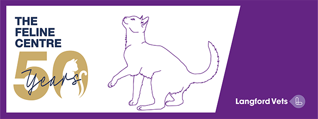 2024: Feline Centre Celebrates Fifty Years | Bristol Veterinary School ...
