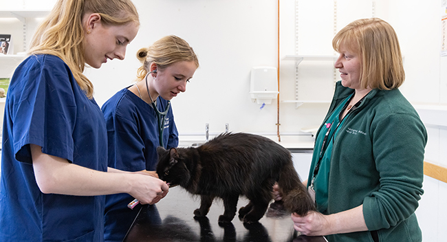 Key information | Bristol Veterinary School | University of Bristol