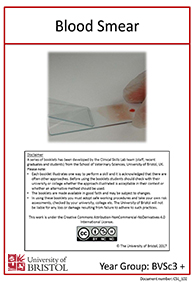 Laboratory techniques | Bristol Veterinary School | University of Bristol