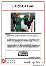 cattle handling & procedures | Bristol Veterinary School | University ...