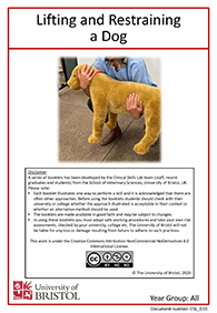 Dog and cat | Bristol Veterinary School | University of Bristol