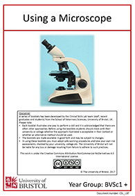 Laboratory techniques | Bristol Veterinary School | University of Bristol