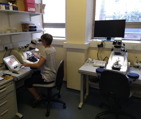 EM processing | Wolfson Bioimaging Facility | University of Bristol